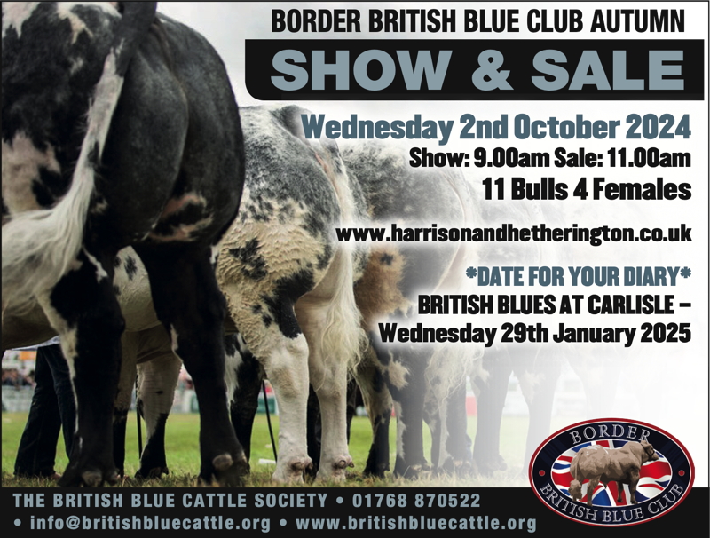 British Blue Cattle Society